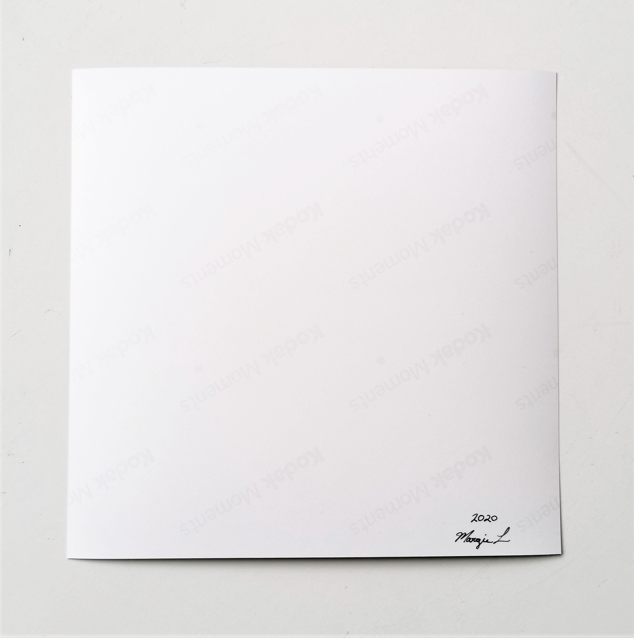 UFO With Cat Art Print, Space Ship Artwork, Alien Art, Fine Art Print ...