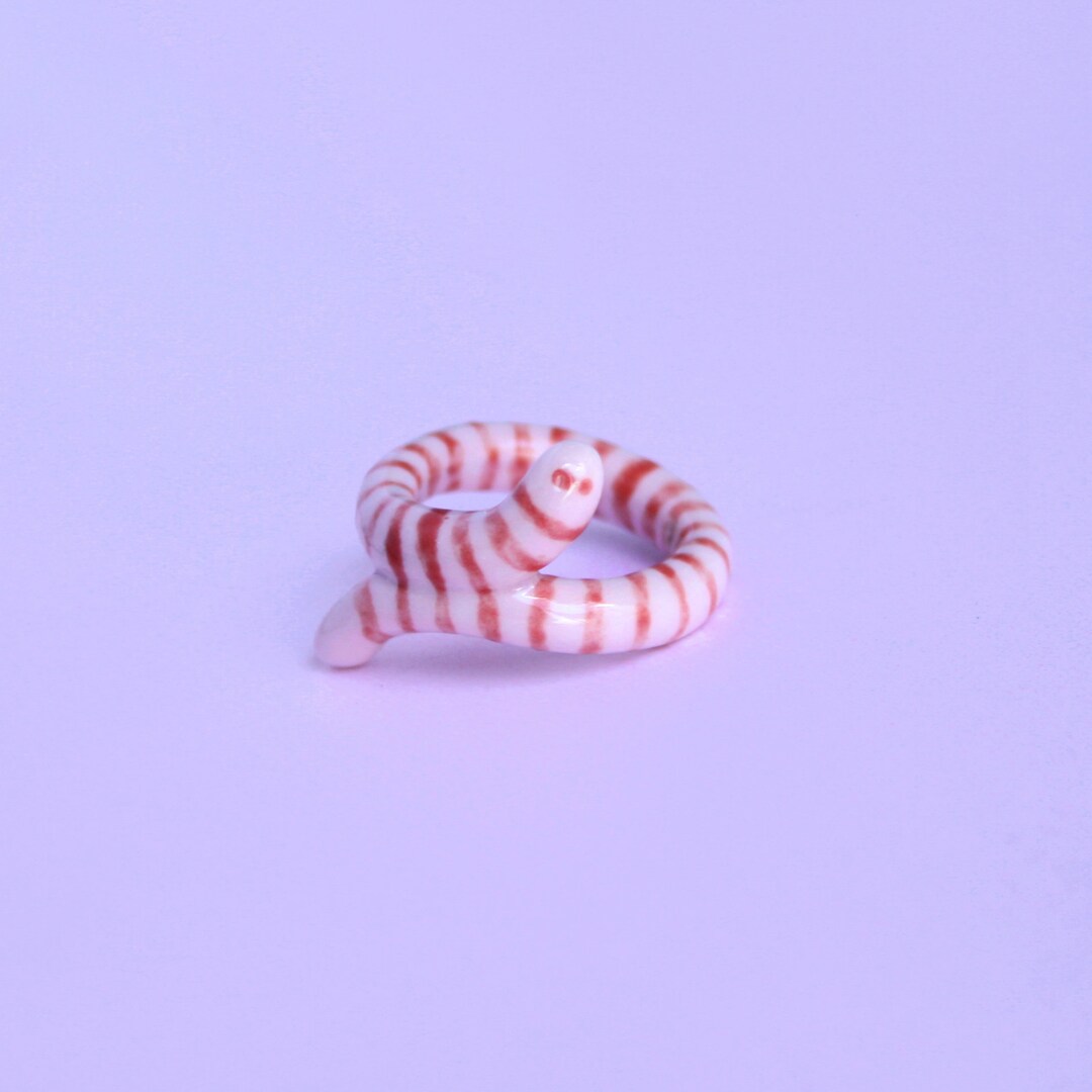 Worm Ring / SIAMESE TWIN STUDIO/ Cute and Weird Porcelain Ring ...