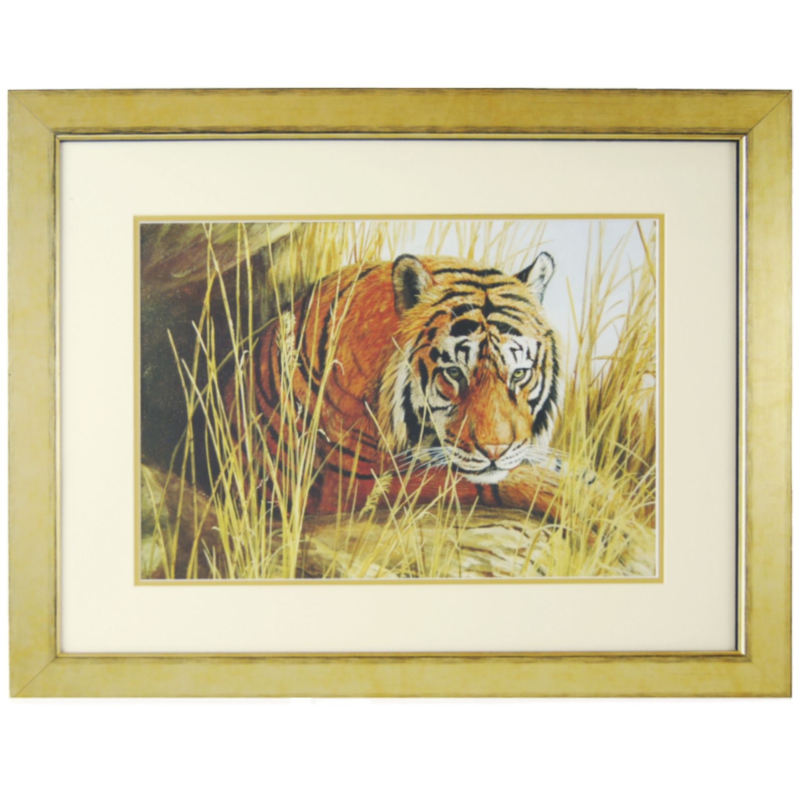 New Large 50x40cm Wall Display Frame Print of Tiger in the | Etsy