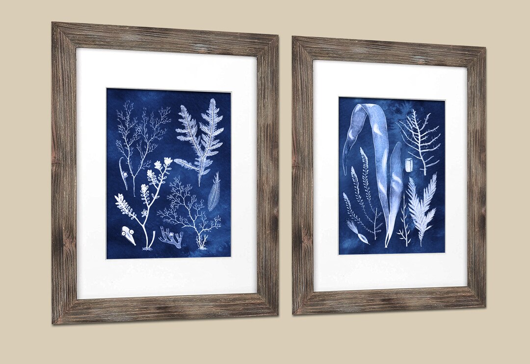 Navy Blue Seaweed Beach Decor Set of 2 Unframed Wall Art - Etsy
