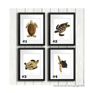 Coastal Decor Sea Turtle Art Print No.1 Beach Art Decor, Nautical Art ...