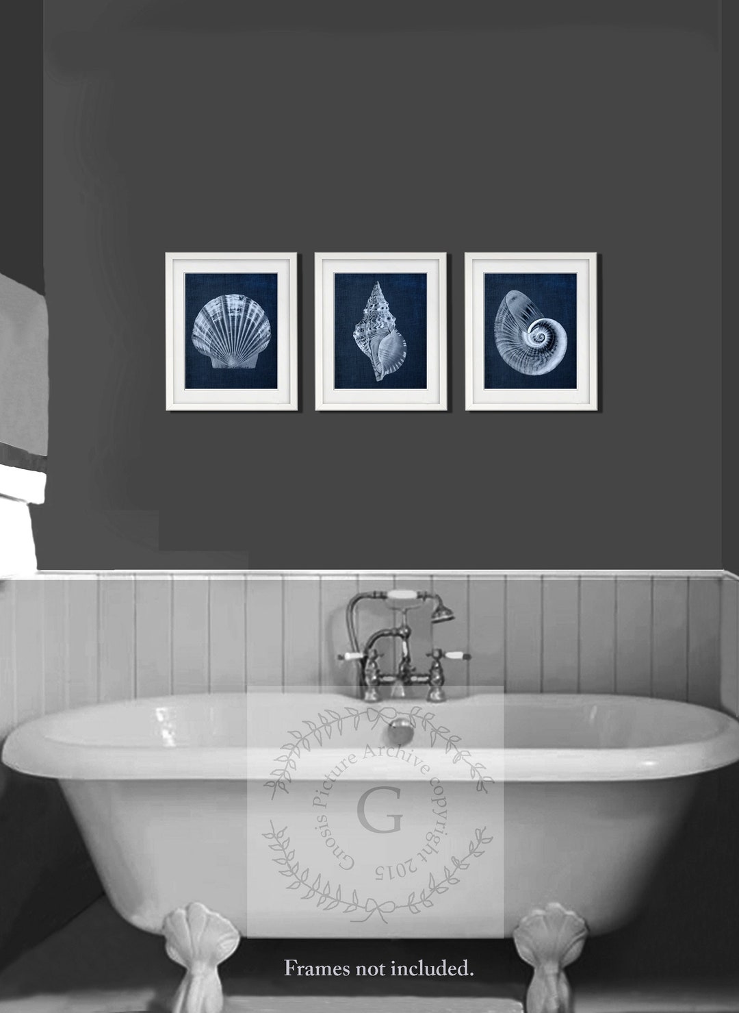 Seashell Wall Art Set of 3 Unframed Art Prints - Navy Blue Beach Decor ...