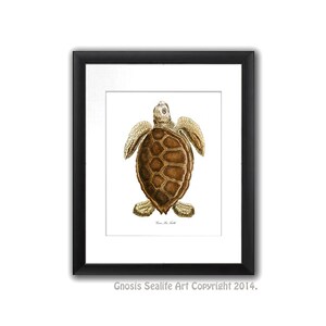 Coastal Decor Sea Turtle Art Print No.1 Beach Art Decor, Nautical Art ...