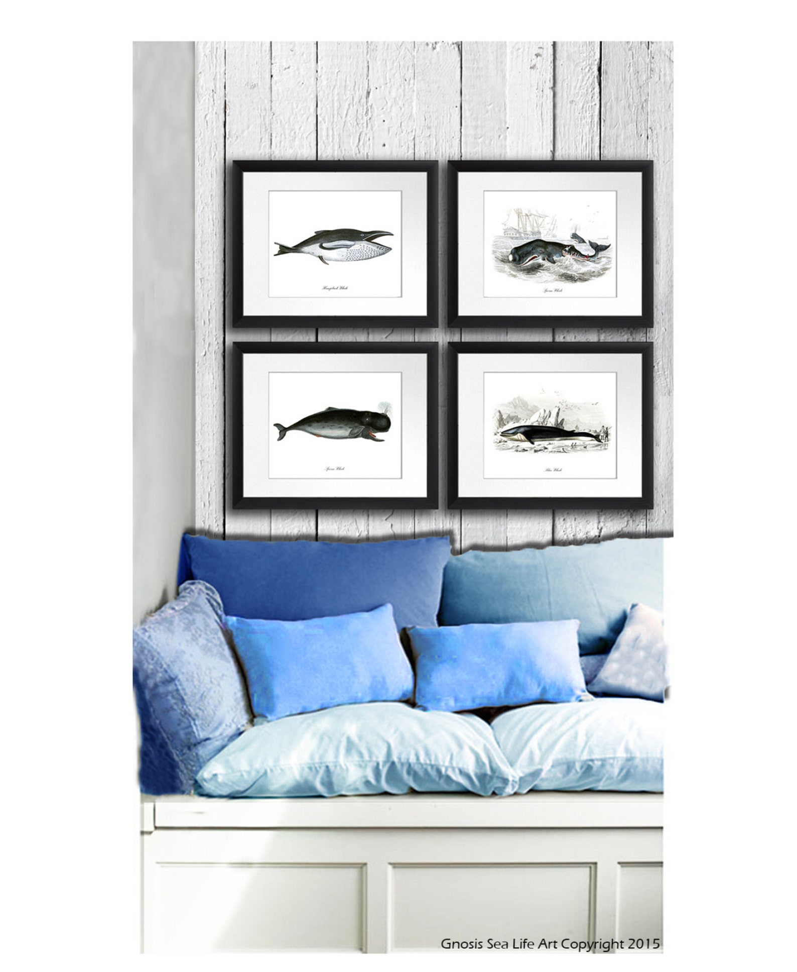 Whale Prints Set of 4 Whale Posters. Vintage Whaling Art. Boys - Etsy