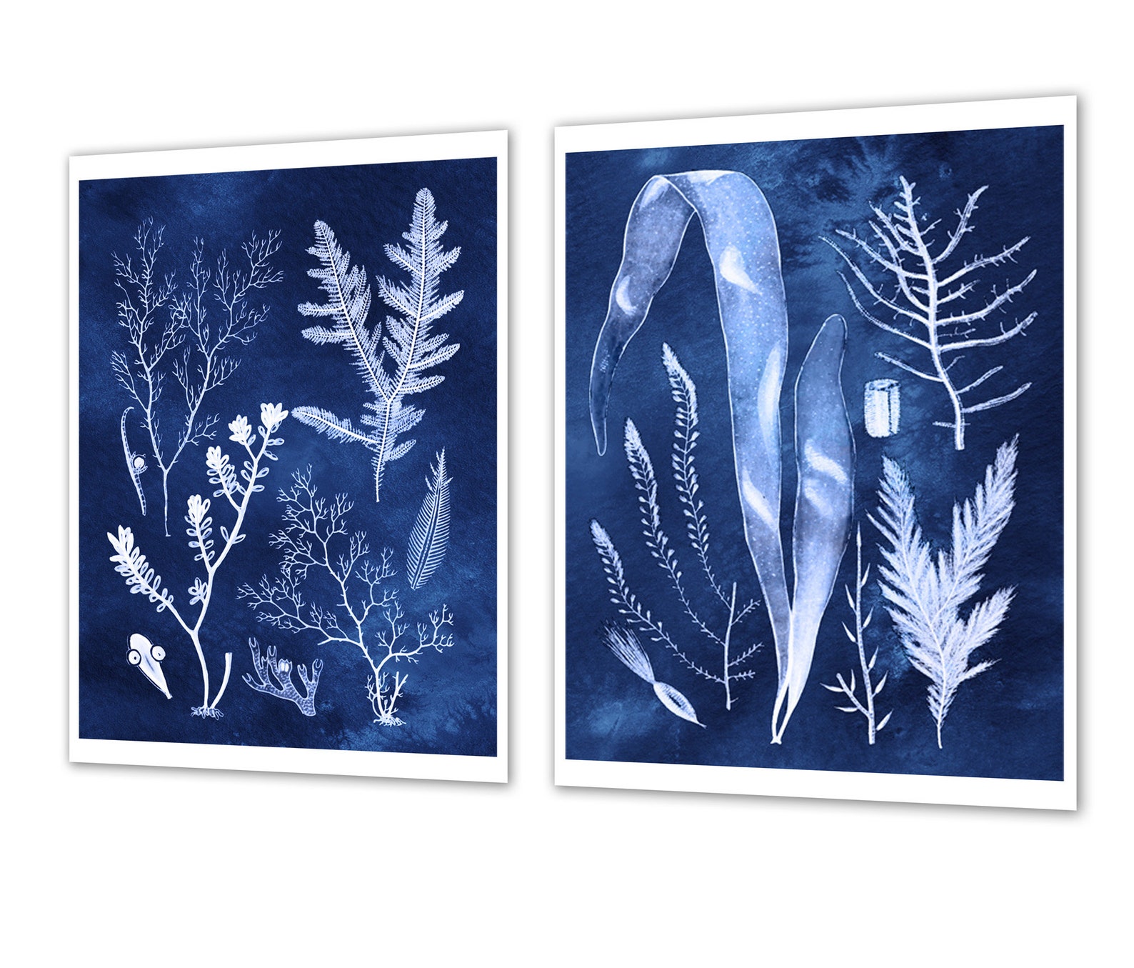 Navy Blue Seaweed Beach Decor Set of 2 Unframed Wall Art - Etsy