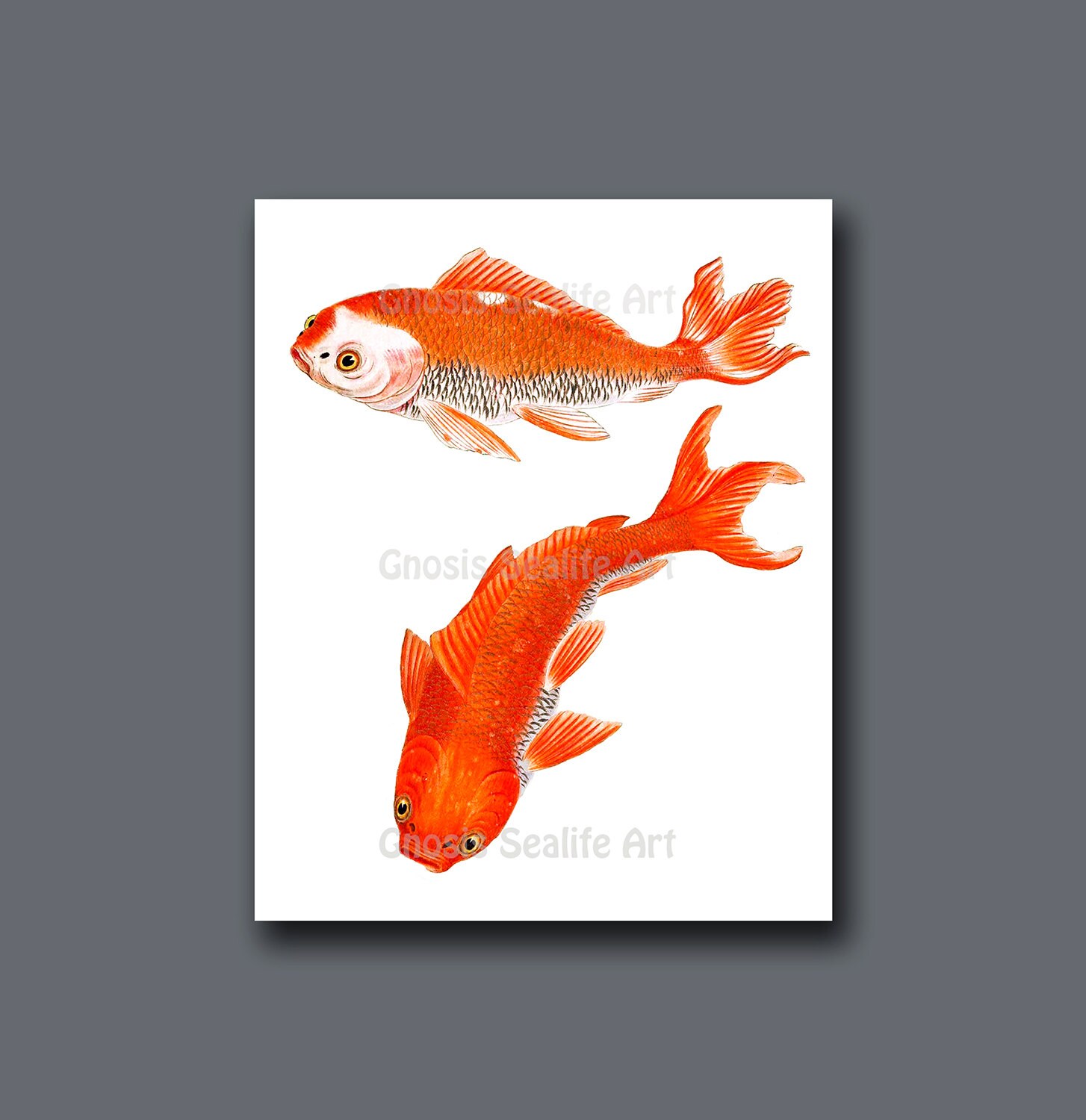 Zen Wall Art Fish Art Print set of 4 Koi fish art prints | Etsy