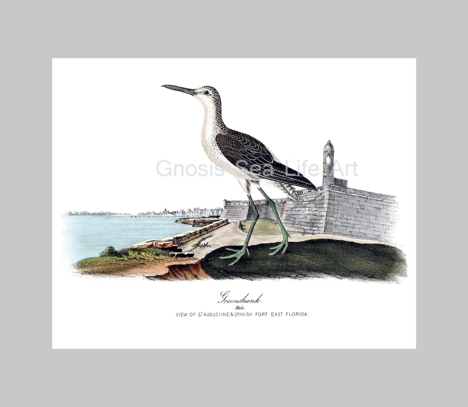 Seaside Wall Art Decor Sea Birds Set of 12, Beach Bedroom Decor ...