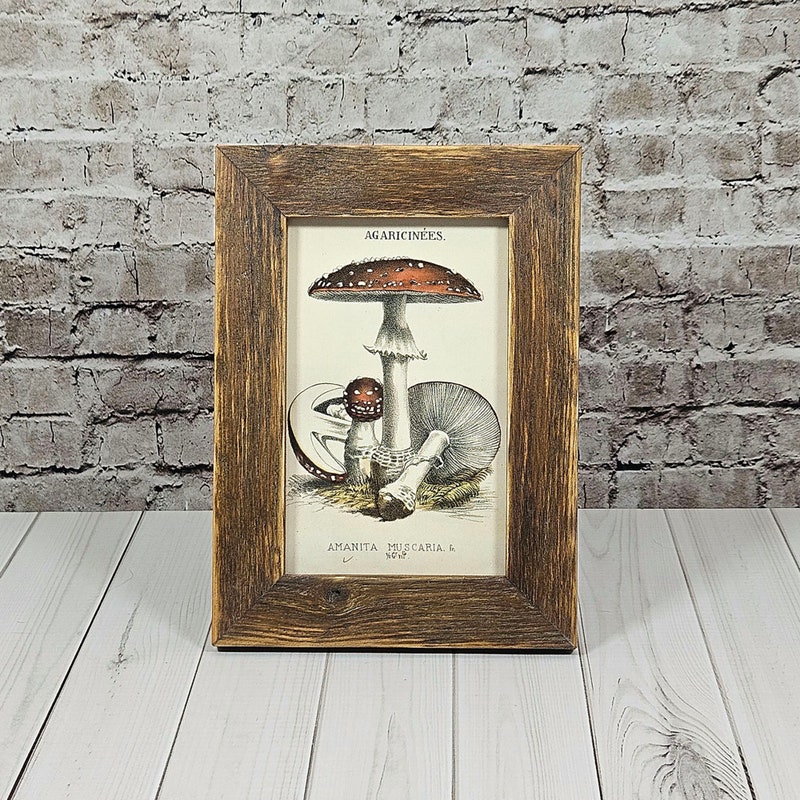 Picture Frame 24x17 - Etsy