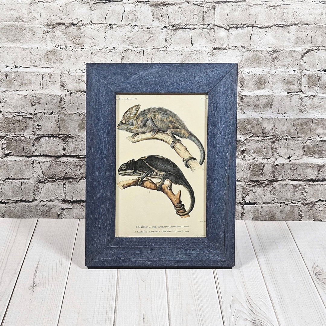 Navy Blue Picture Frame - Custom Sizes - Etsy