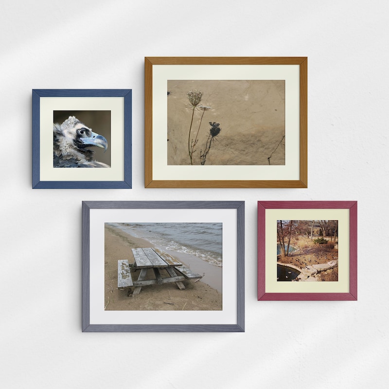 Bright Frames - Etsy