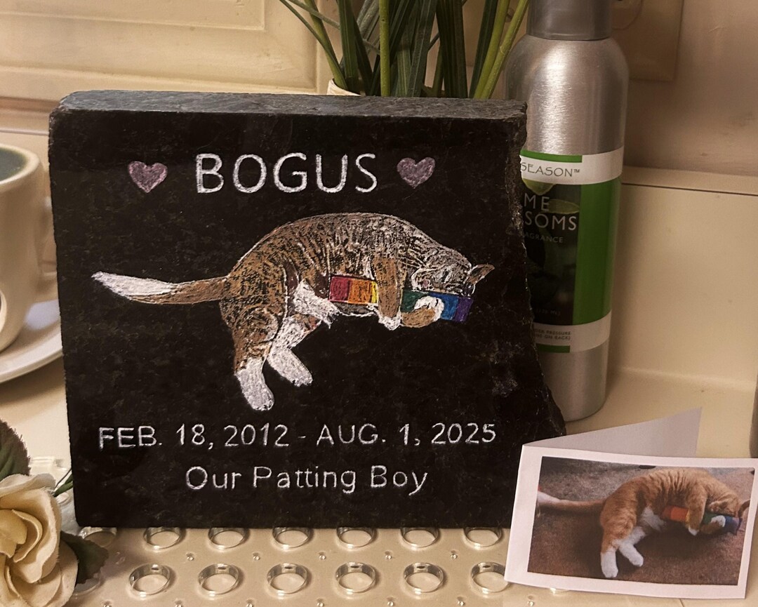 COLOR CAT Memorial Stone / Rough Cut Stone (NO Base), Design Your Own ...