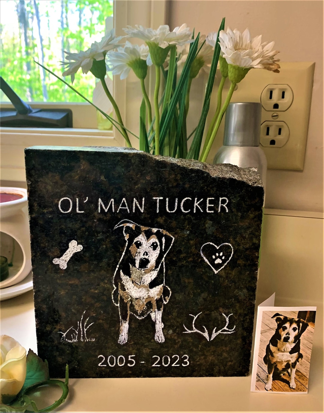 Large COLOR Goat Memorial Stone /dog / Cat / Horse / Bird Rough Cut ...