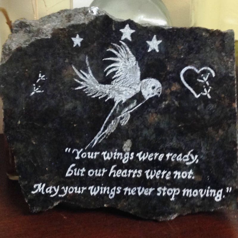 Bird Memorial - Etsy
