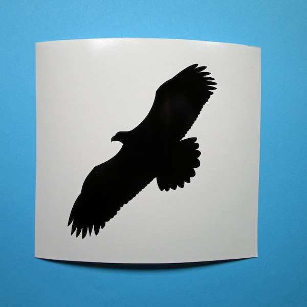 Flying Eagle Vinyl - Etsy