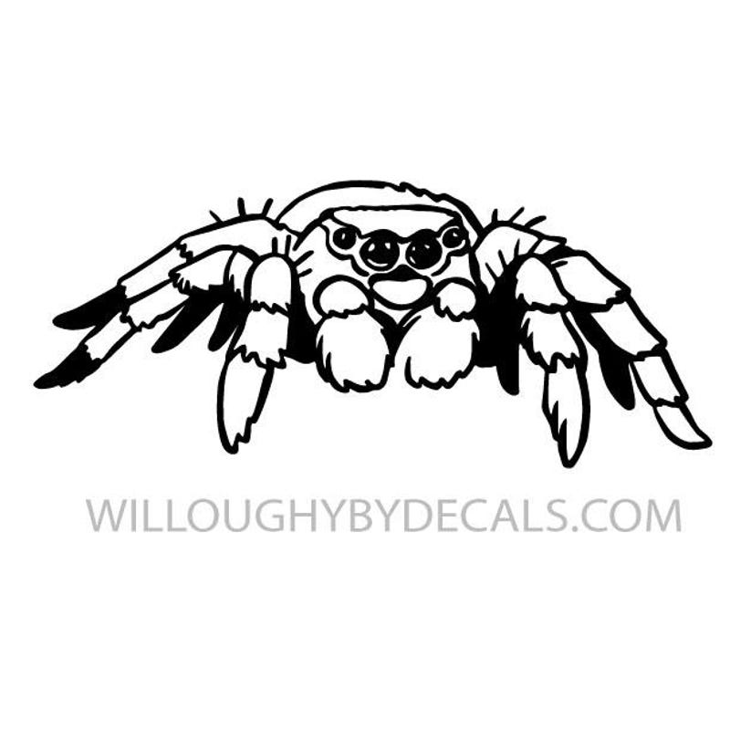 Jumping Spider Car - Etsy