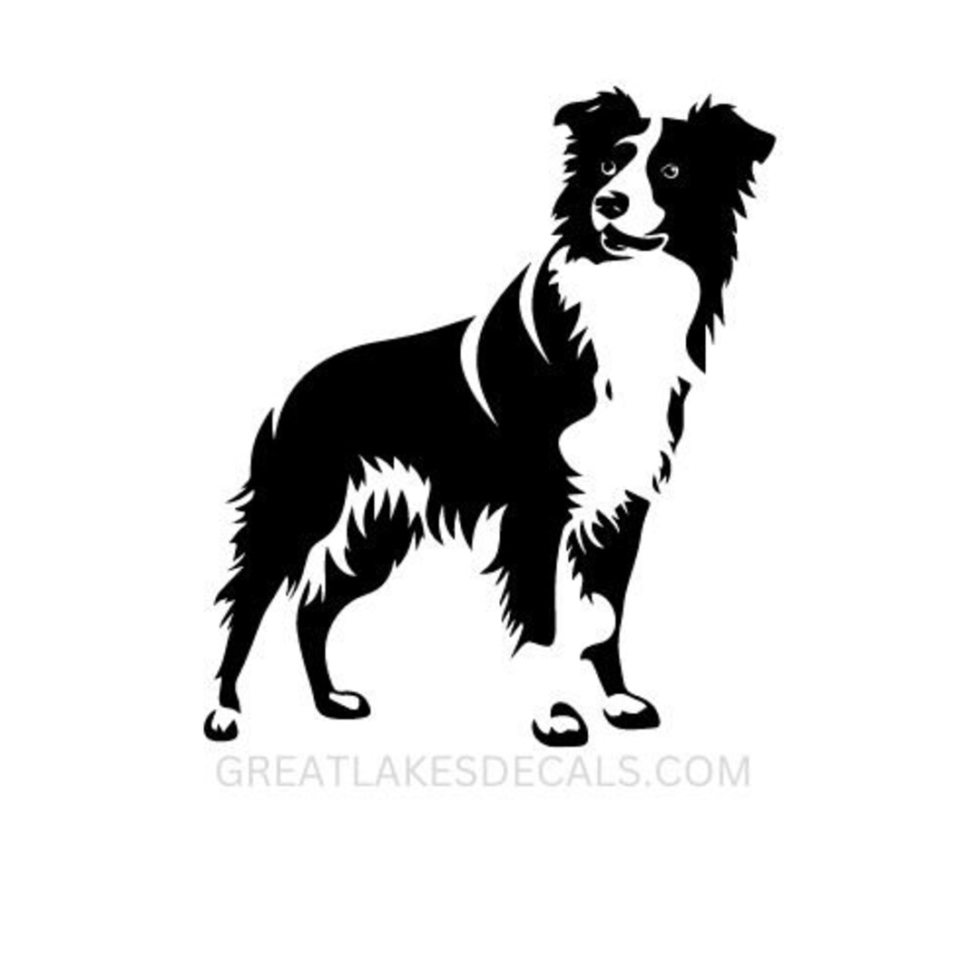 Border Colie Vinyl Decal Sticker - Etsy