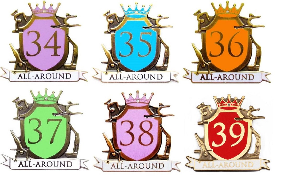 All Around Gymnastics Score Pins - 33, 34, 35, 36, 37, 38, 39 - Etsy