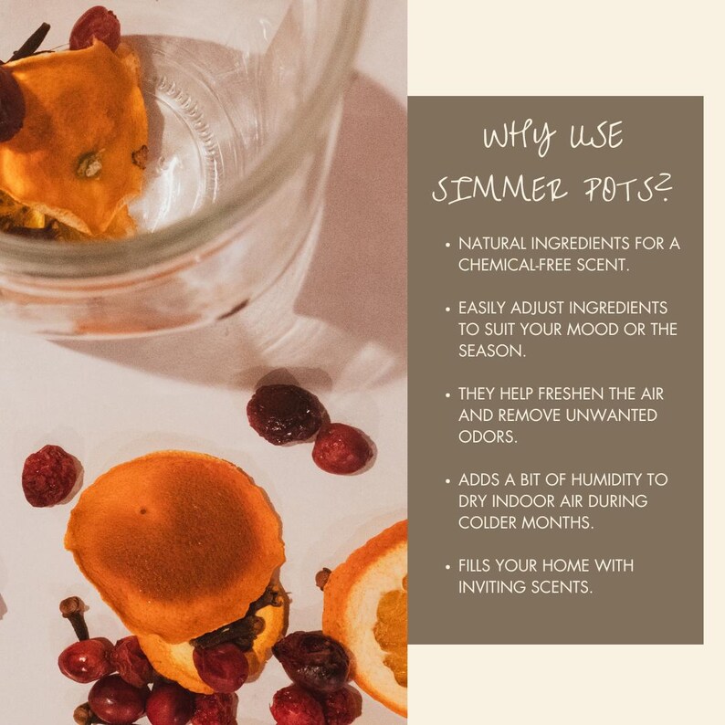 Passion Elixir Simmer Pot | Simmering Potpourri Blend | Gift for ...
