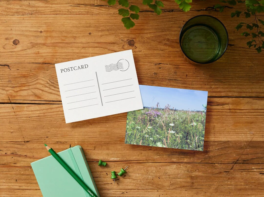 Flower Postcards Set of 5 - Etsy
