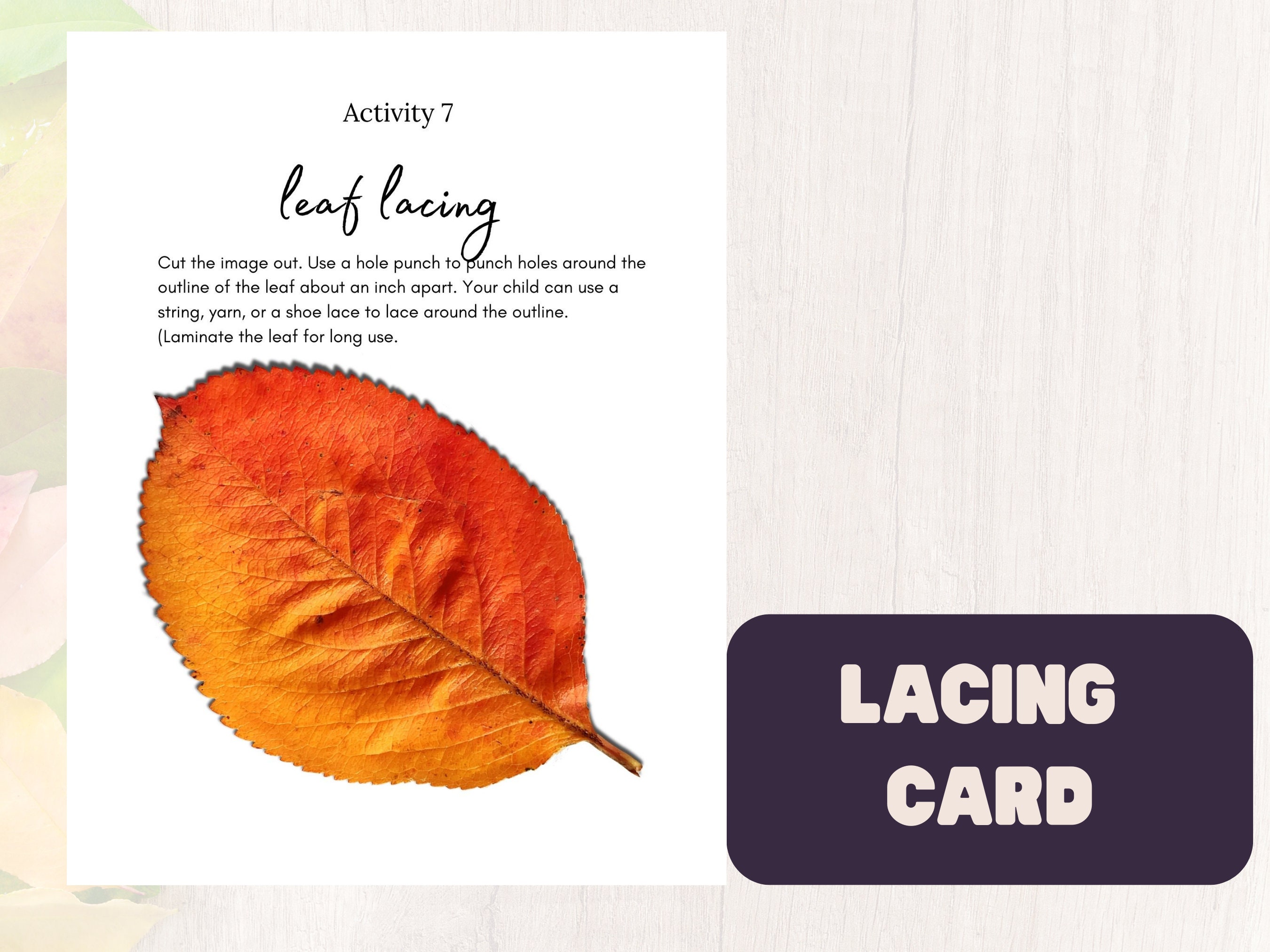 Fall Unit Study Preschool, Life Cycle Unit Study, Kindergarten Unit ...