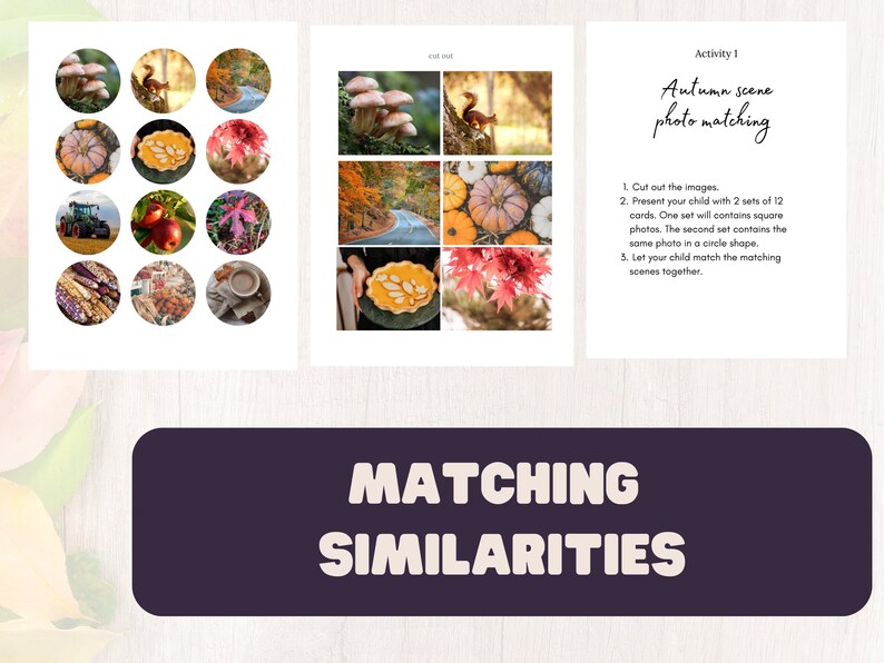 Fall Unit Study Preschool, Life Cycle Unit Study, Kindergarten Unit ...