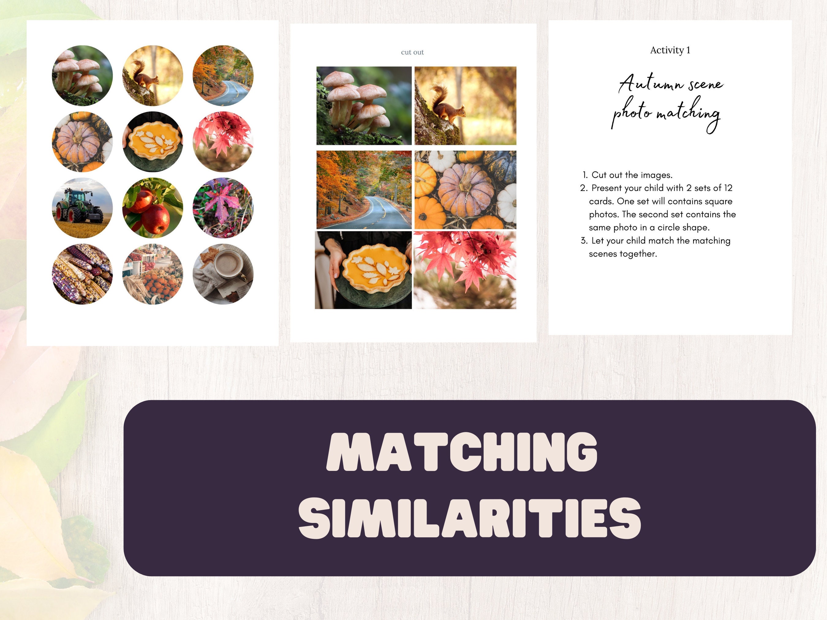 Fall Unit Study Preschool, Life Cycle Unit Study, Kindergarten Unit ...