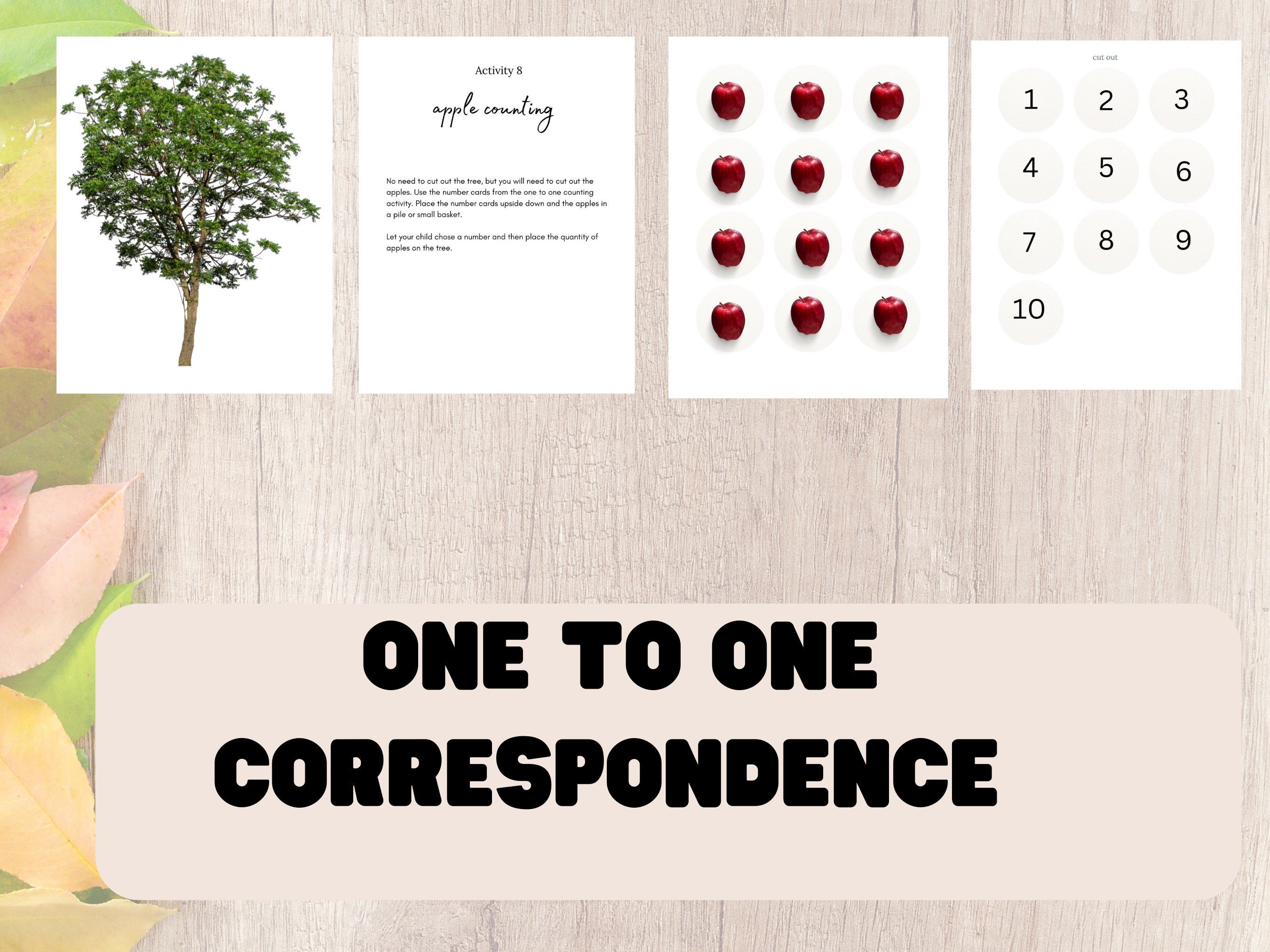 Fall Unit Study Preschool, Life Cycle Unit Study, Kindergarten Unit ...