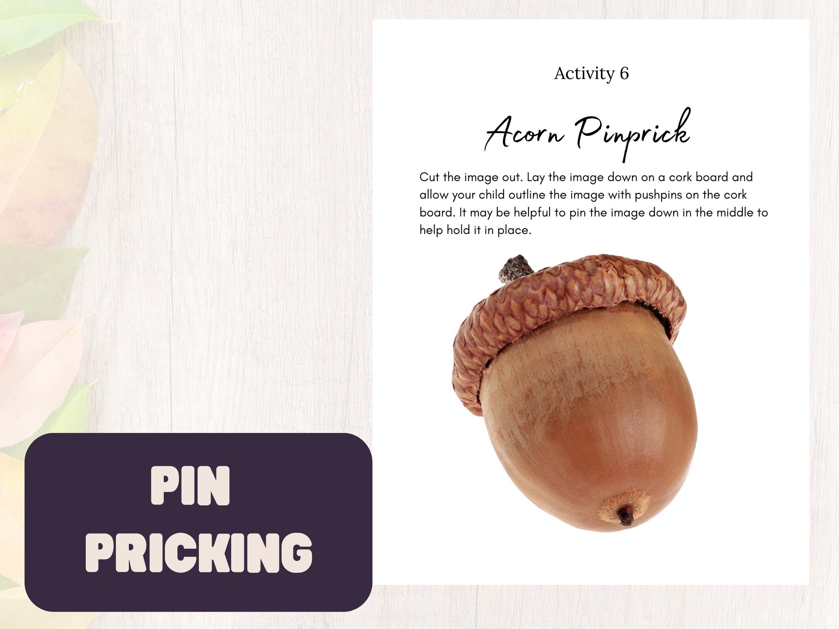 Fall Unit Study Preschool Life Cycle Unit Study Kindergarten - Etsy