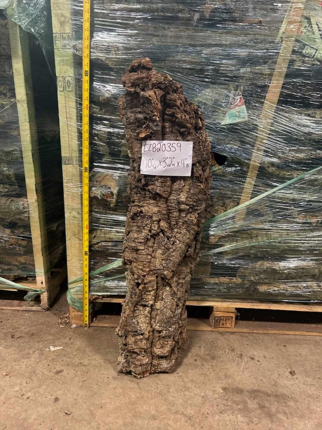 JUMBO 38 Cork Half Round 20359 for Reptiles, Airplants, Orchids, and ...