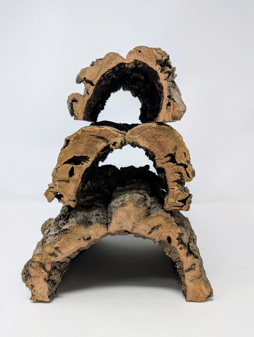 Cork Bark Half-rounds Bulk Box: Terrarium, Reptile & Orchid Decor - Etsy