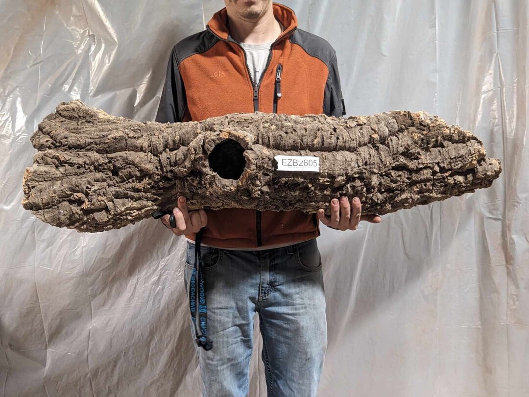 COLOSSAL 44" Cork Round - #2605 - for Reptiles, Airplants, Orchids, and ...