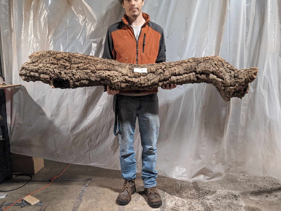 COLOSSAL 64" Cork Round - #2608 - for Reptiles, Airplants, Orchids, and ...