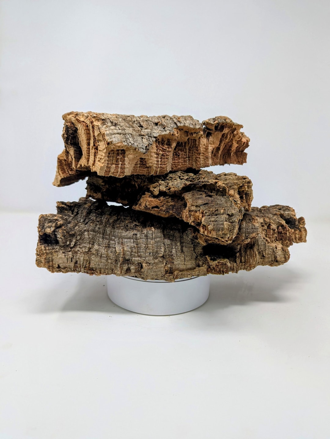 Virgin Cork Bark Flats - Orchid, Reptile & Terrarium Decor - Eco ...