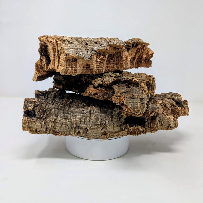 Rustic Wood Bark Planter - Etsy