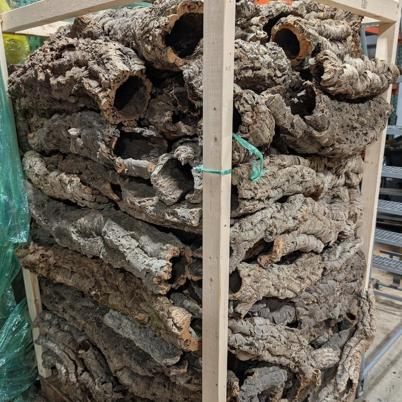 Bark for Plant Mounting - Etsy