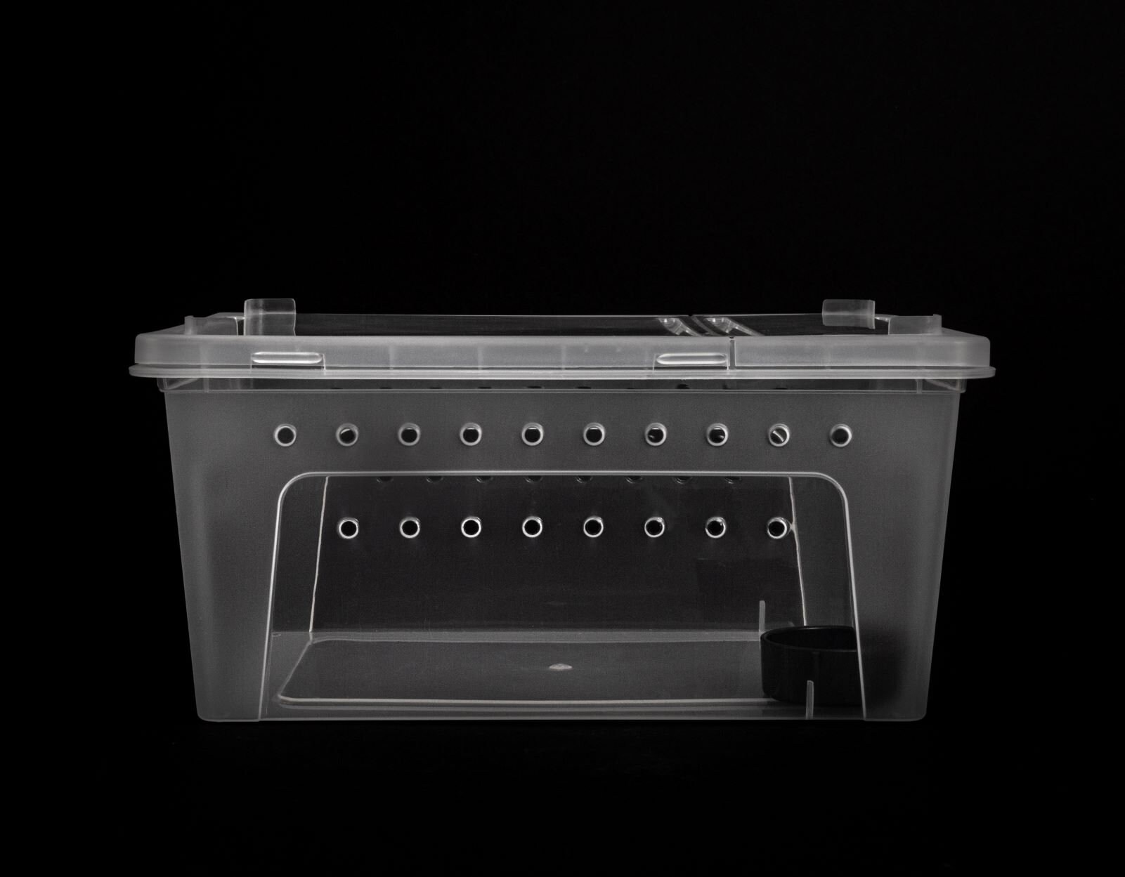 Large Clear Stackable Invertebrate & Reptile Keeper Box - Etsy
