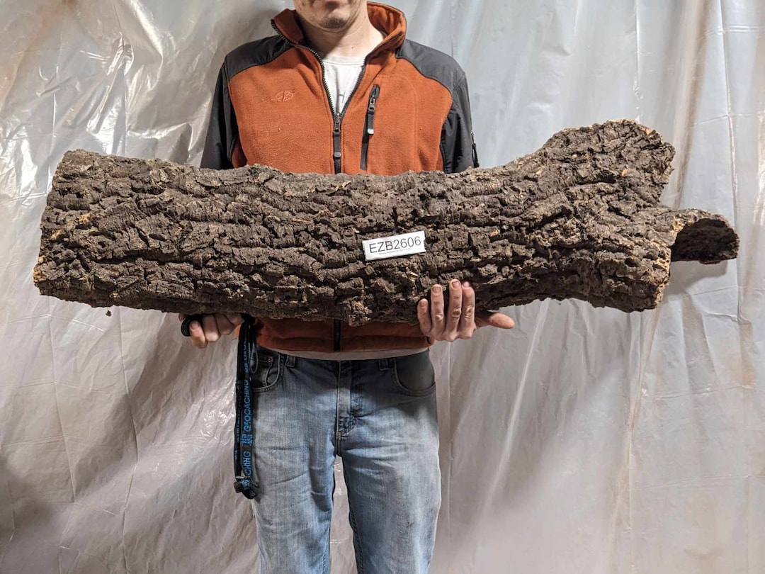 COLOSSAL 43" Cork Round - #2606 - for Reptiles, Airplants, Orchids, and ...