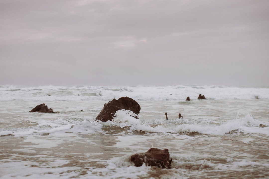 Ghost Forest Beach Photo, Neskowin Oregon, Coastal Fine Art - Etsy