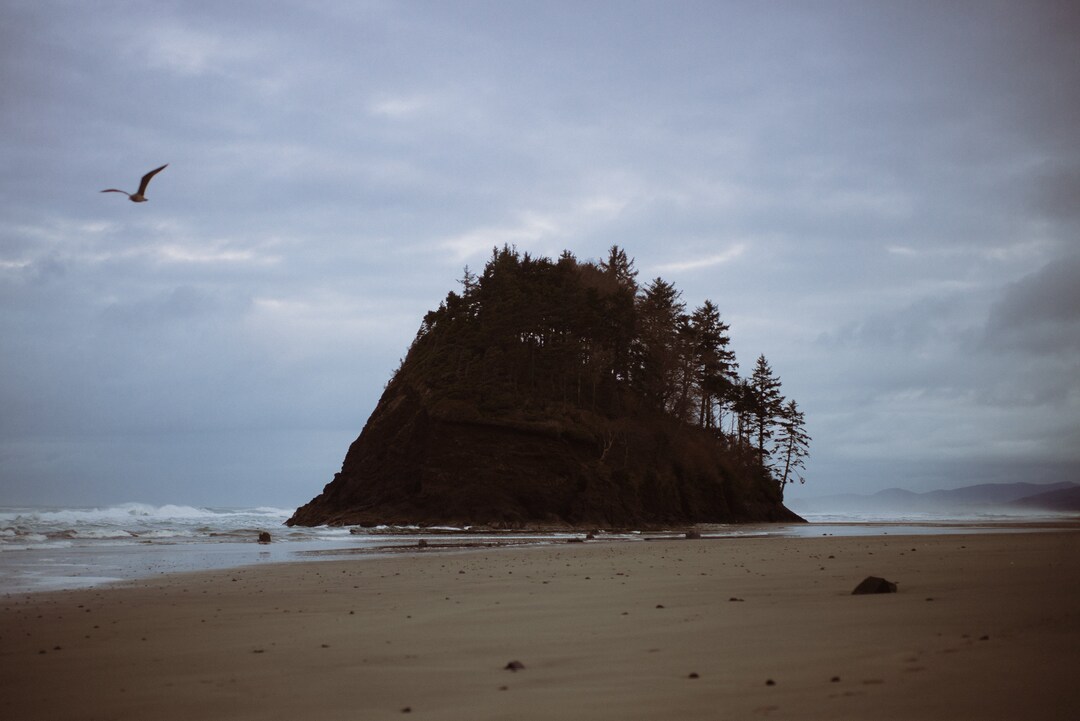 Proposal Rock Oregon Coast Sunrise, Coastal Fine Art Print - Etsy