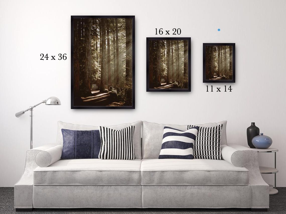 Sunbeams in the Forest Print, Moody Woodland Photography, PNW Wall Art ...