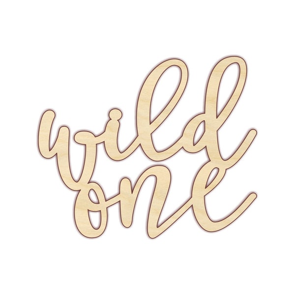 Wild One Backdrop - Etsy