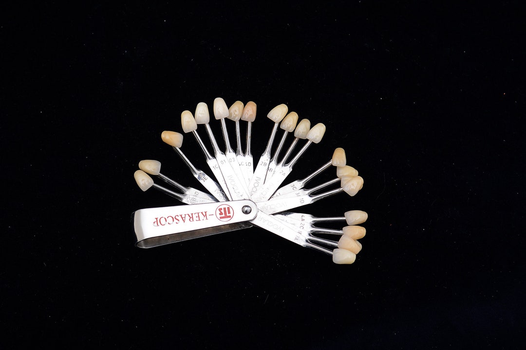 Vintage Tooth Sample, Teeth, Dentist Decor - Etsy