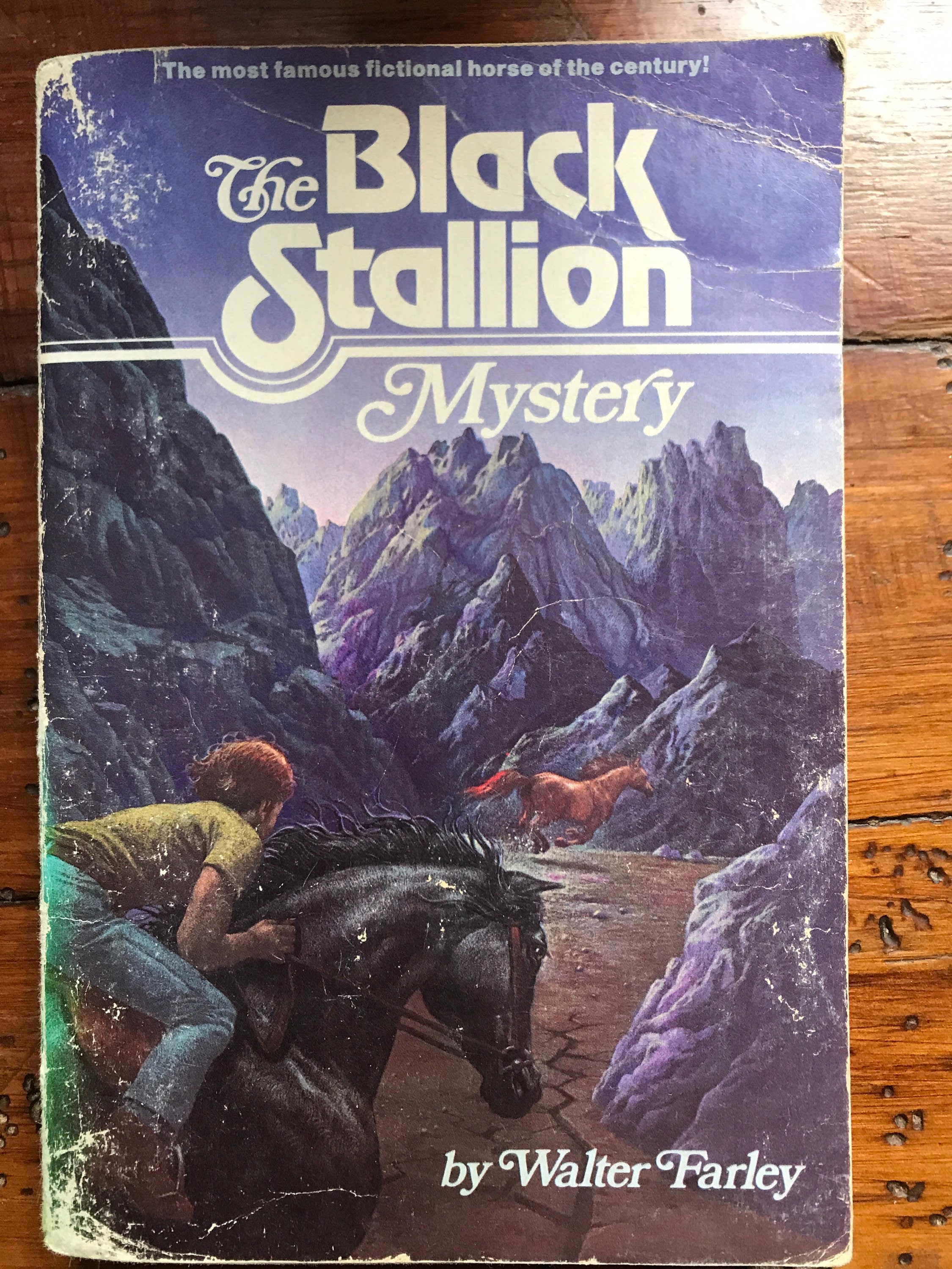 Black Stallion Book Cover