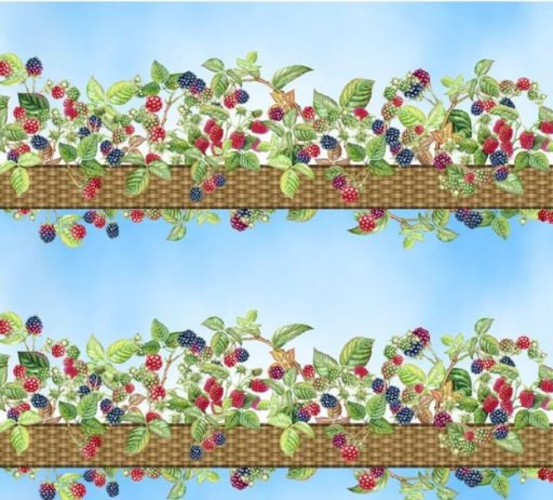 241SEW-1, Celebrate the Seasons - Summer Border Print, 44"/45" Wide ...