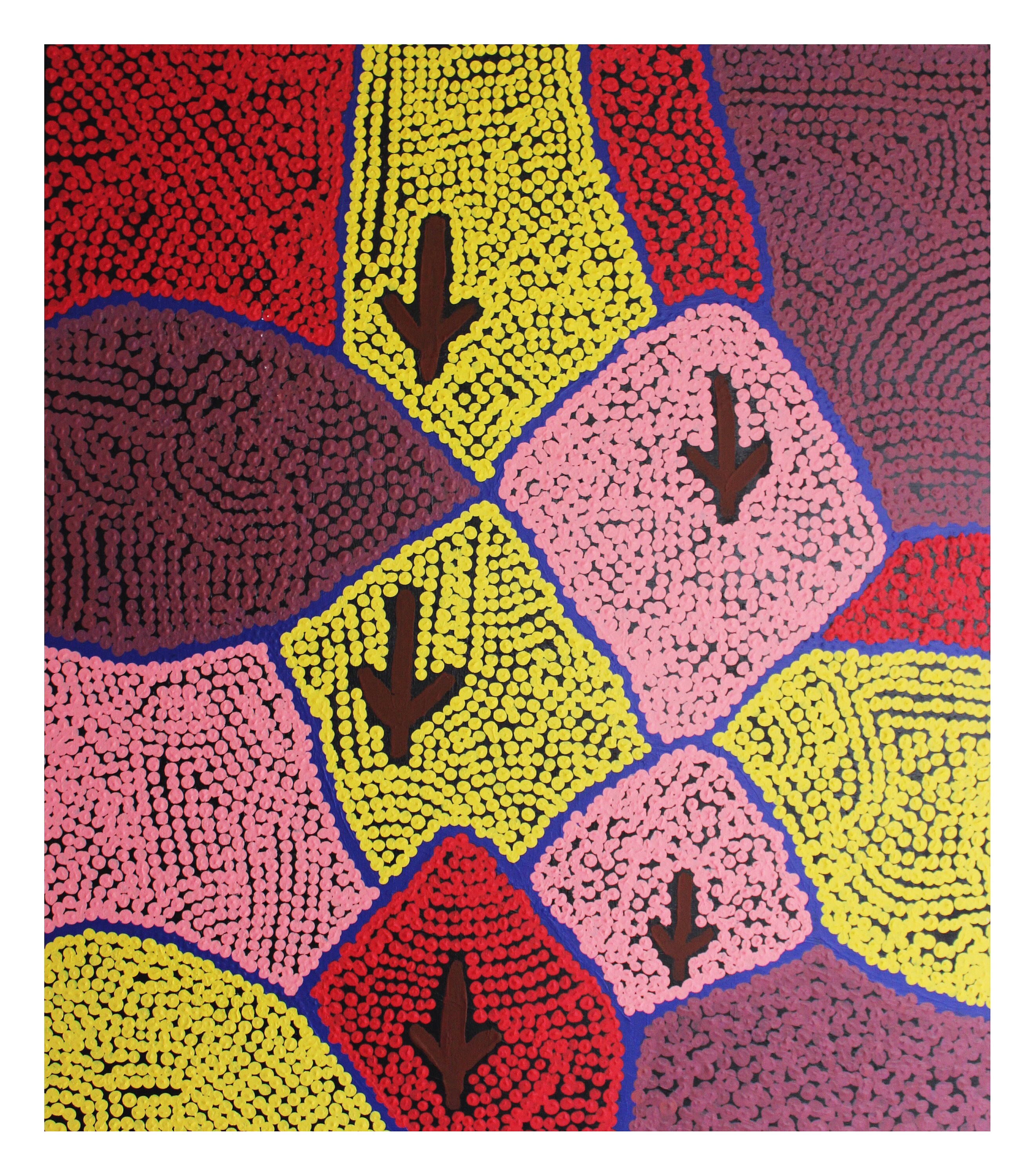 Emu Tracks. Aboriginal Style Dot Painting. Large Original - Etsy