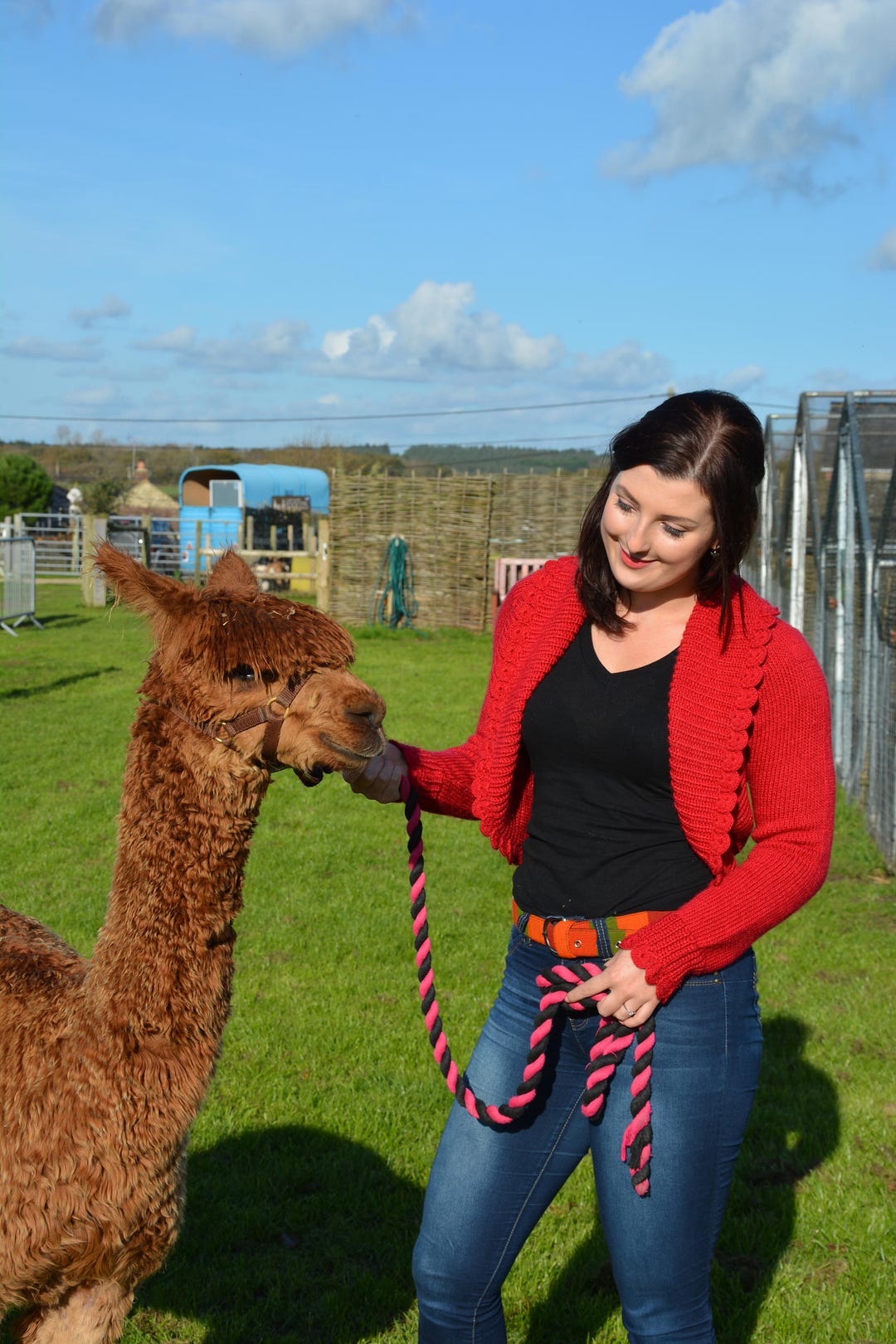 Hand Knitted Alpaca Cardigan - Etsy UK