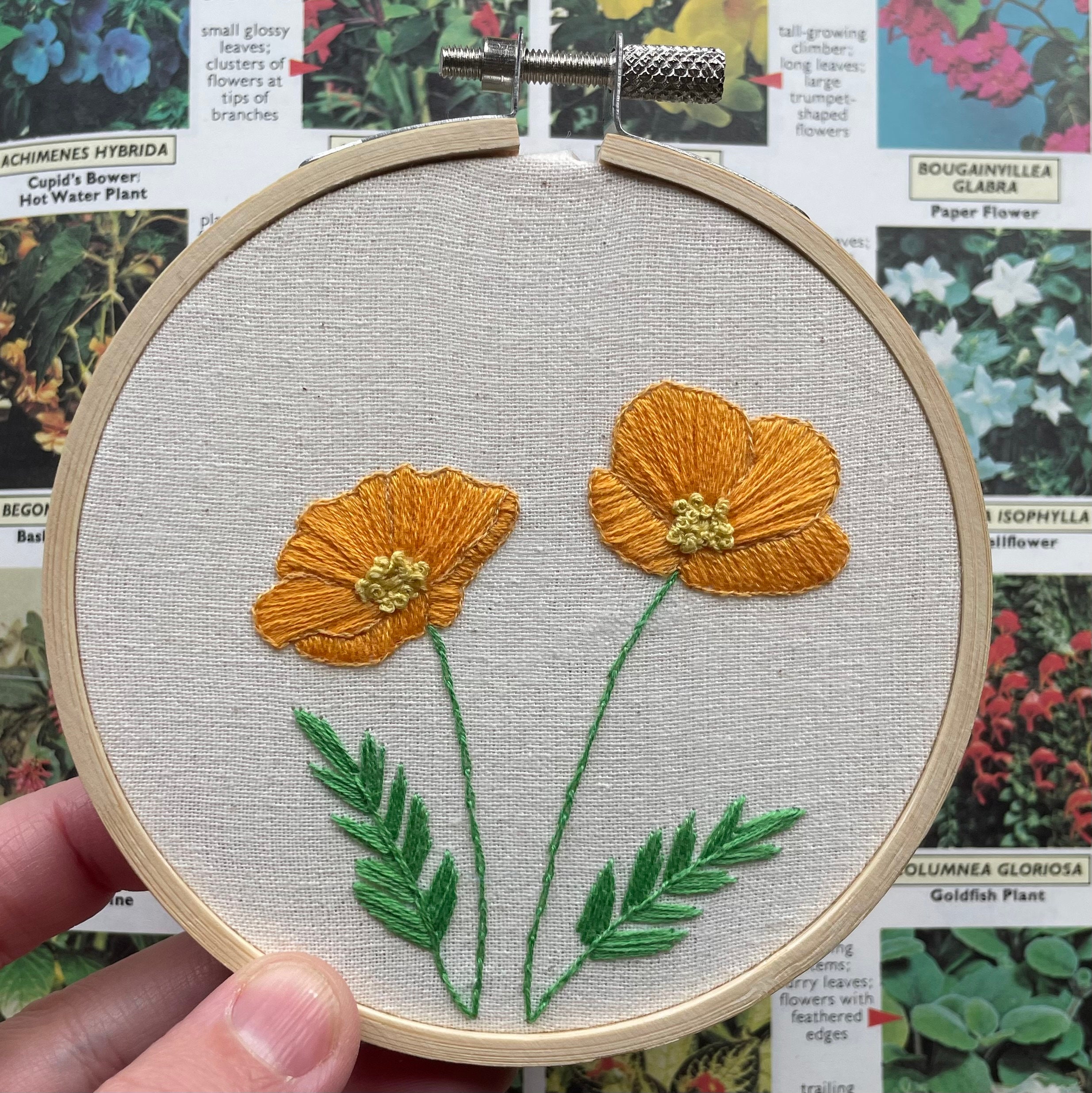 Welsh Poppy Embroidery PDF Pattern and Guidance - Etsy