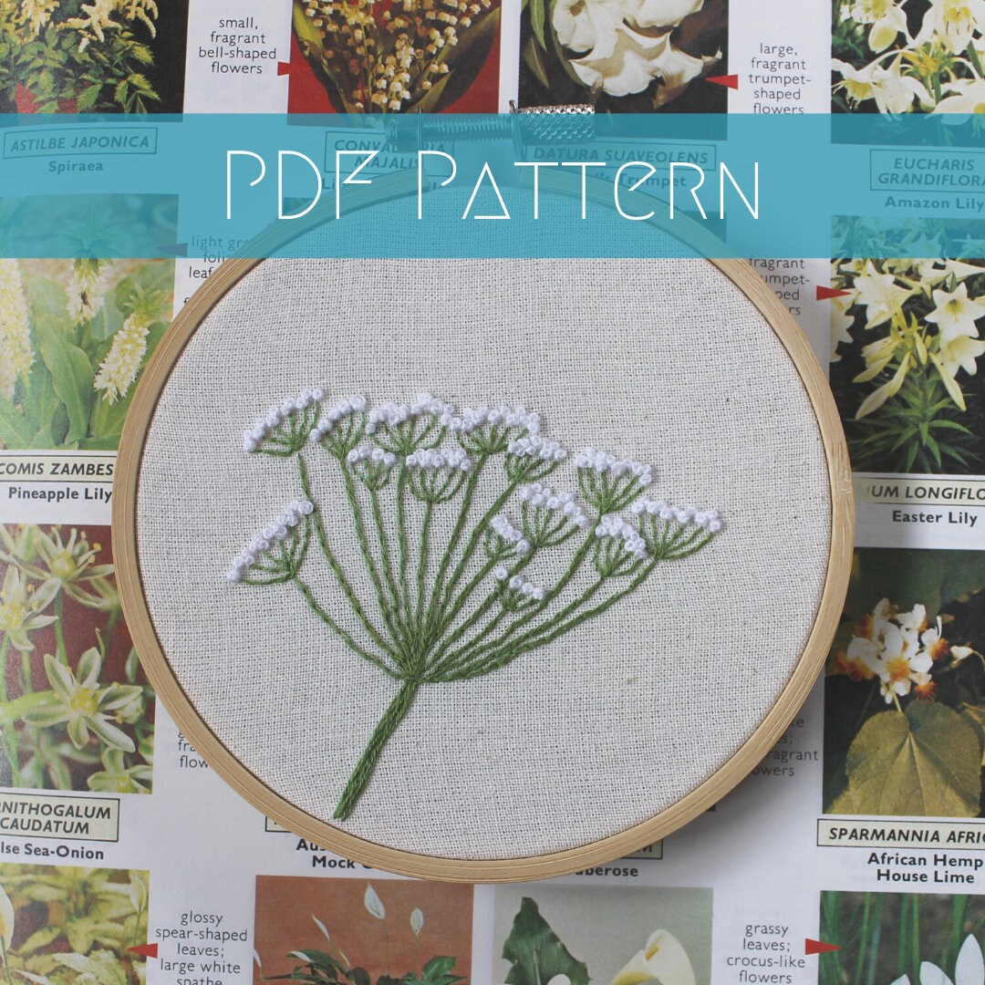 Cow Parsley Embroidery Pattern, Needlework for Beginners, Modern Craft ...