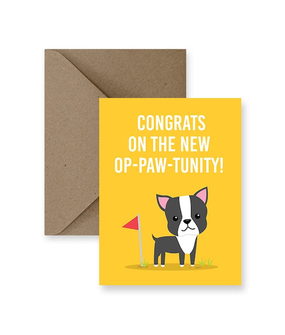 Congratulations Animal