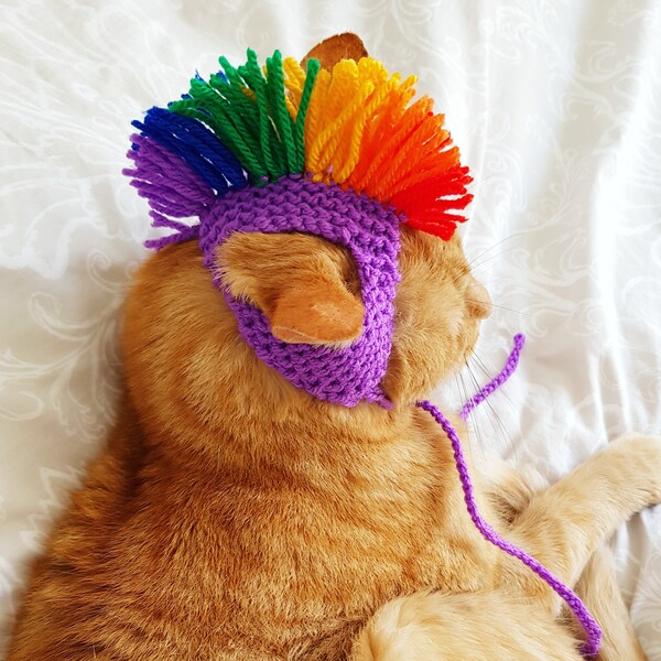 Mohawk Cat - Etsy